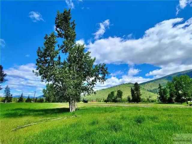 2 Timber Lane, Other See Remarks, MT 59873 646972122