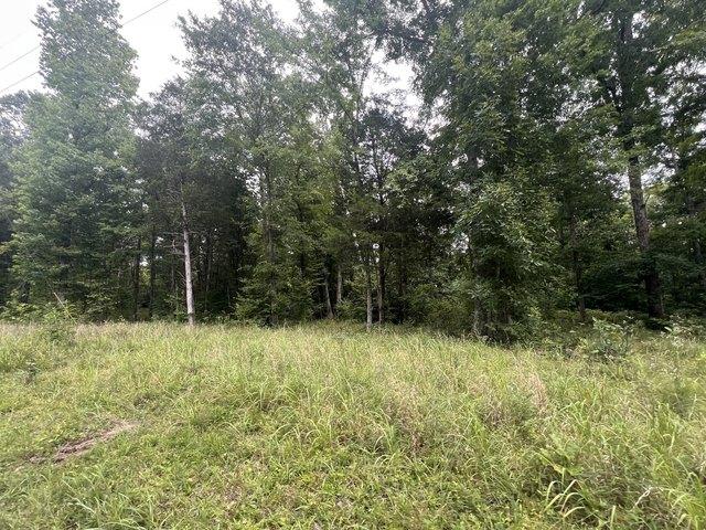 2 Toms Creek Lake Rd, Linden, TN 37096