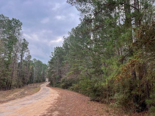 2 Union Springs Road