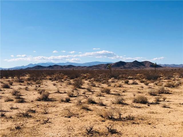 2 Venus, Joshua Tree, CA 92252 | MLS #JT26017