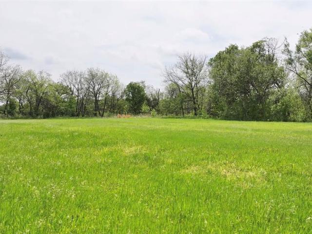 2 Wild Horse Creek