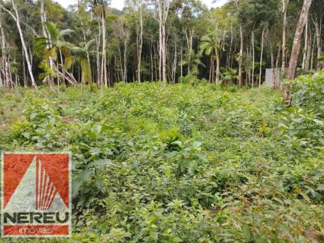 2.000M2 TERRENO 80% PLANO E DESMATADO EM JUQUITIBA/SP