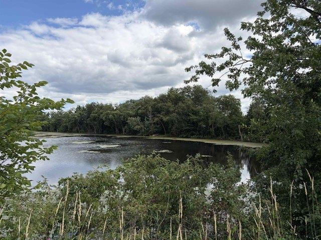 2.01 Acres Hog Island Rd, New Lisbon, WI 53950