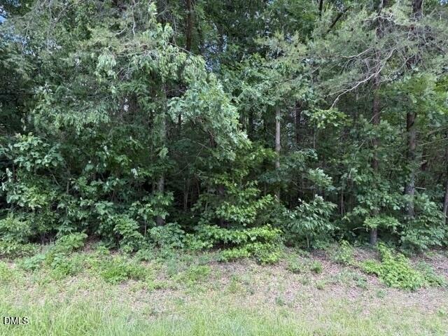 2.028 MT Willing Rd, Efland, NC 27243