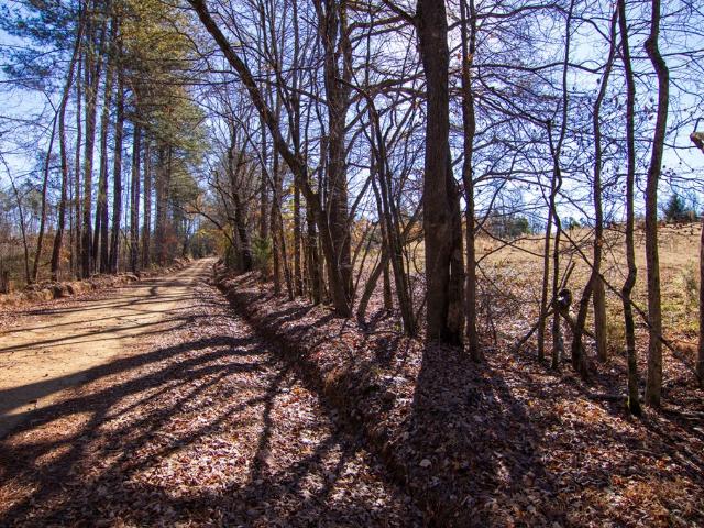 2 0 St Paul Church Rd, Shiloh, GA 31826 | MLS #231641 | Compass