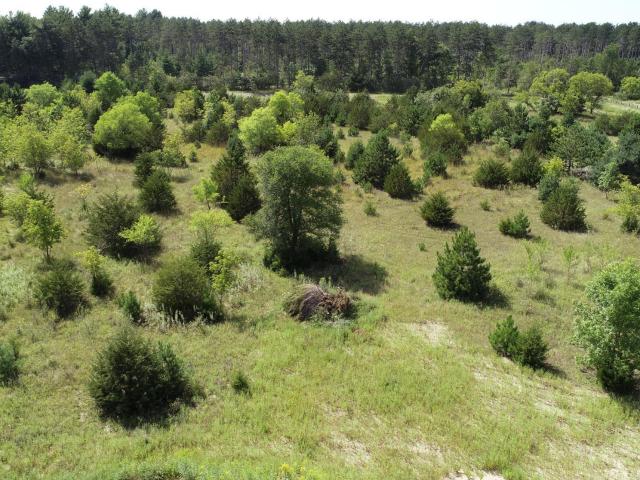 2 174th St NW, Big Lake, MN 55309 | MLS #7006 | Compass