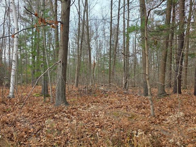 2.17 Acres N Branch Drive # Woodview Pass VL