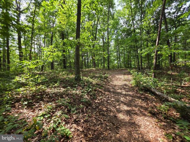 2.18 Acres On Getaway Road
