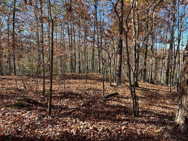 2.19 Ac Old Highway 53 Lot 11, Celina, TN 38551