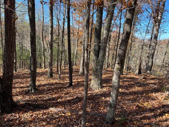 2.19 Ac Old Hwy 53