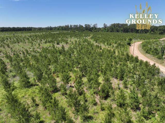 2 10 Kelly Rd, Livingston, TX 77351 | MLS #63936 | Compass