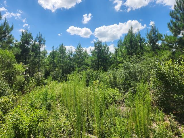 2 11 18 Remington Road