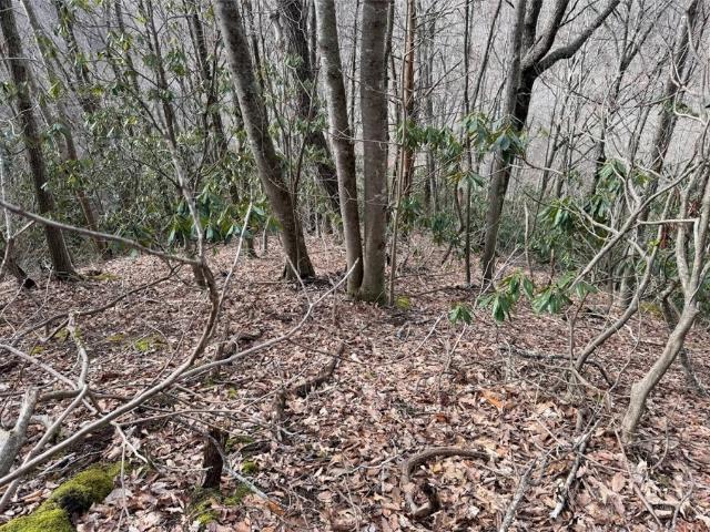 2.13 acres Big Ridge Rd, Bakersville, NC 28705 | MLS #261392 | Compass