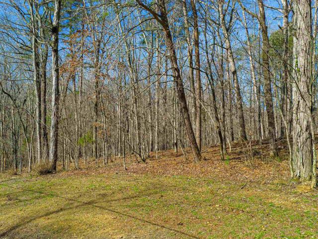 2.25 Acres 67th Street NW