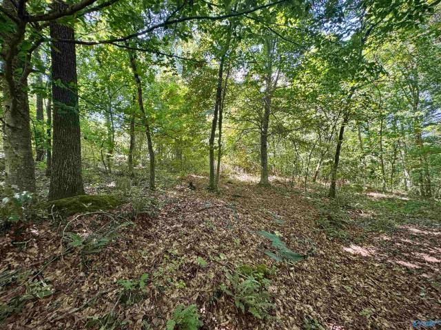 2.27 Acres Union Grove Road