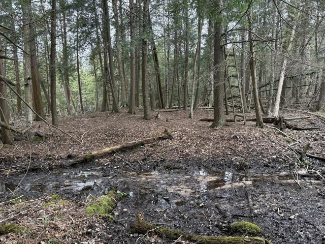 2.27 Acres W Shelby Road