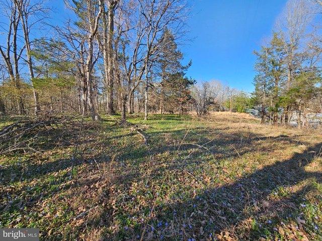 2.355 Ac Layne St, Farmville, VA 23901
