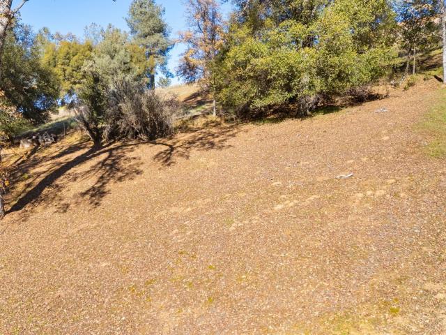 2 305 Ferretti Rd, Groveland, CA 95321 | MLS #41119