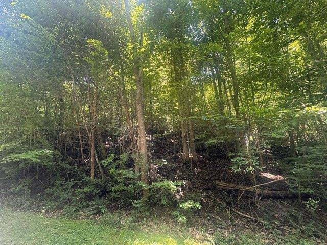 2.33 Acr Flat Rock Valley Rd Lot 10, Blairsville, GA 30512