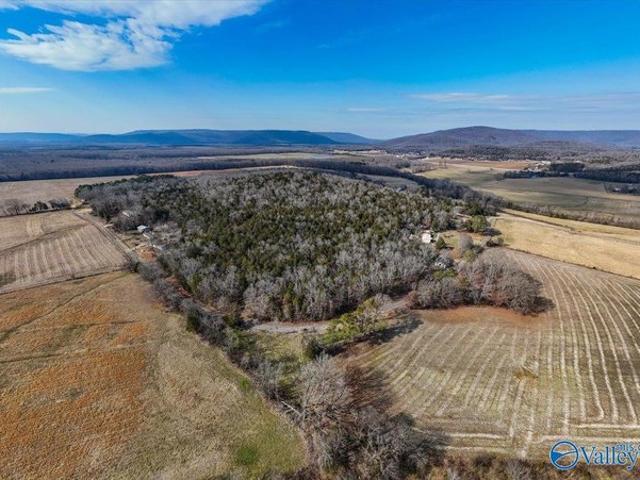 2.47 Acres County Road 214 Lot 3, Woodville, AL 35747