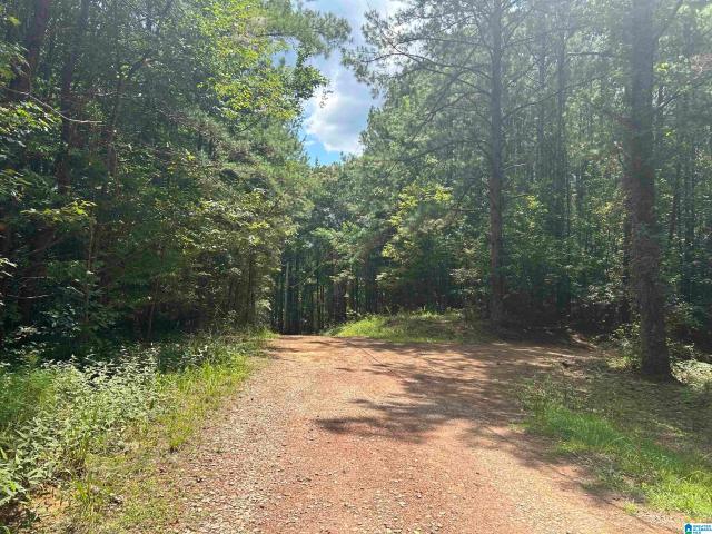 2.47 acres jeep trail # 2.45 Acres