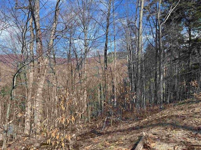 2 47 E Ash Rd, Plymouth, VT 05056