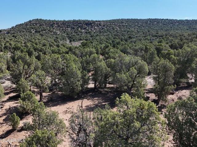2.43 Nya New Mexico 511, Navajo Dam, NM 87419