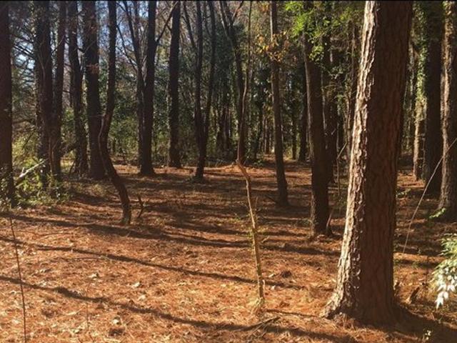 2.4 Acres Linde St NW, Huntsville, AL 35810