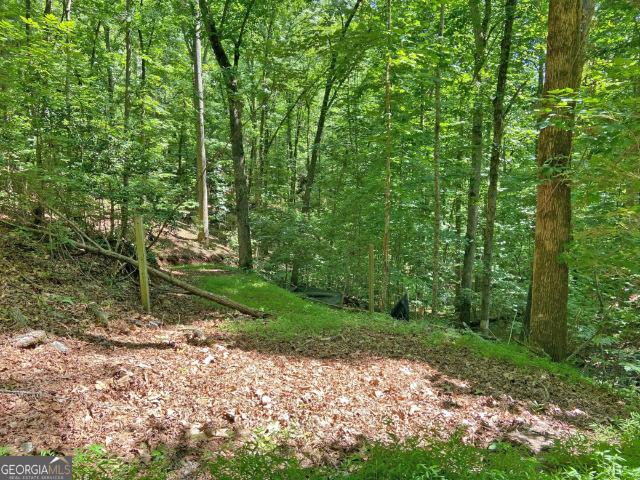 2.4AC Old River Road