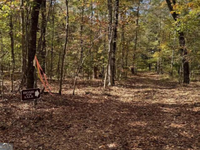 2.57 ACRES Flint River Road