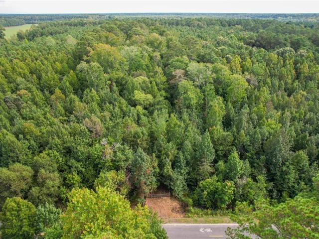 2.5 Ac Dismal Swamp Canal TRL
