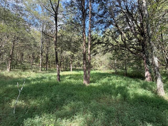 2.5 Acres Cave Springs Road