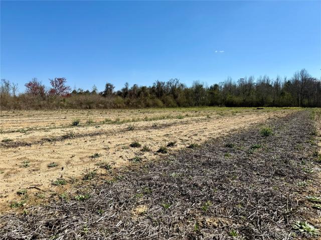 2.5 Acres Garrett Road