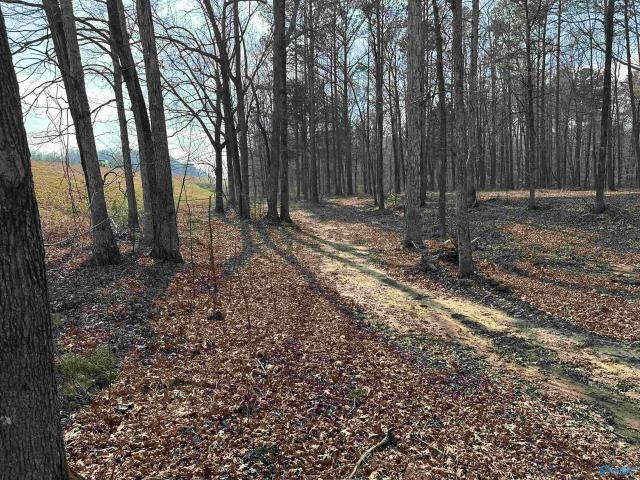 2.5 acres Ghost Hill Road