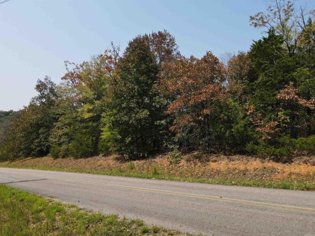 2.5 Acres Turkey Mountain Road