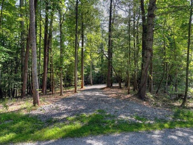 2.64 Acr Grace Dr Lot TRACT4, Blue Ridge, GA 30513