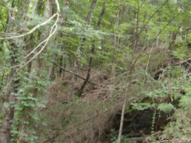 2.64ac Old Hwy 53 S