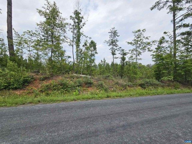 2.67 Ac Penlan Rd Lot 2, Arvonia, VA 23004