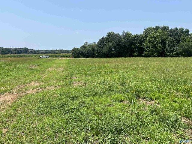 2.74 Acres Old School House Rd, Ardmore, AL 35739