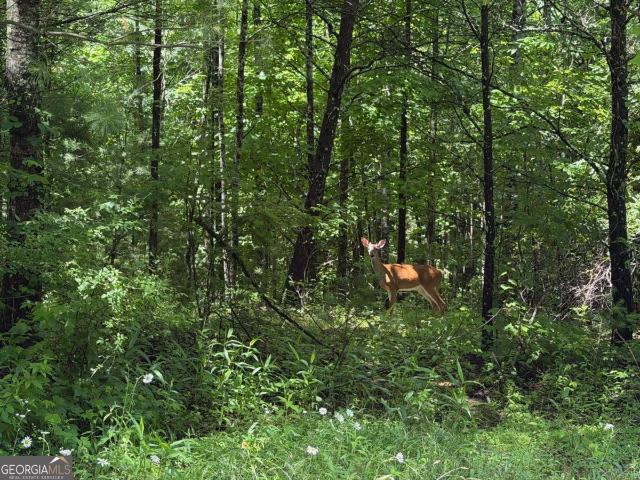 2.75AC Quail Ridge Road