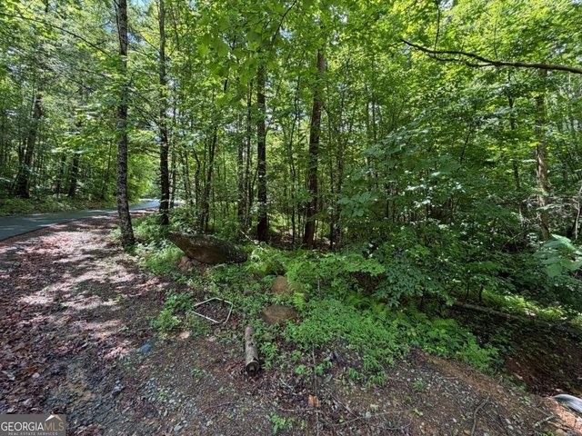 2 75AC Quail Ridge Rd, Epworth, GA 30541