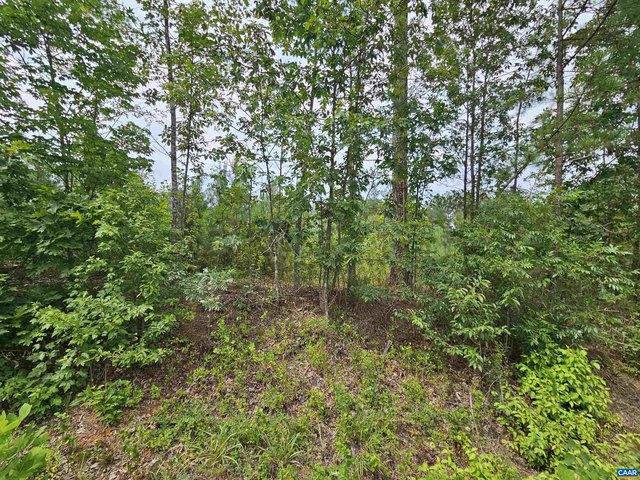 2.78 Ac Penlan Rd Lot 1, Arvonia, VA 23004