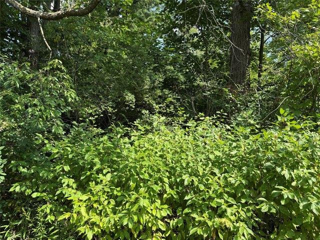 2.84 Acres Bambi Trl, Espyville, PA 16424