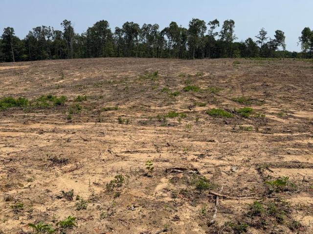 2.88 Acres Government Pond Rd