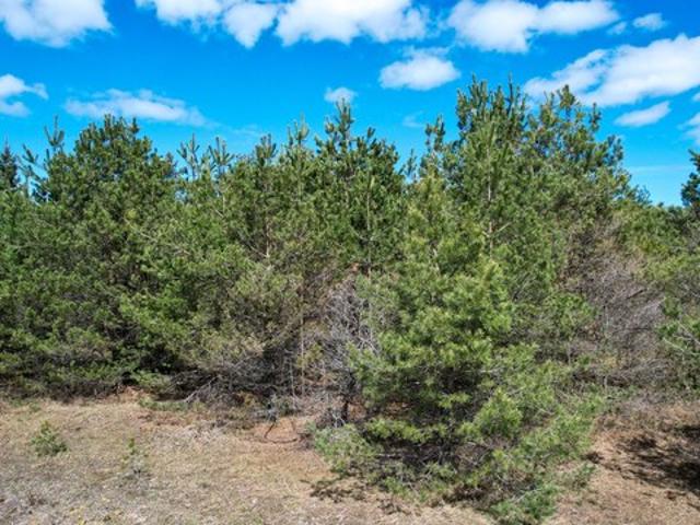 2.83 Ac N Black River Rd, Cheboygan, MI 49721