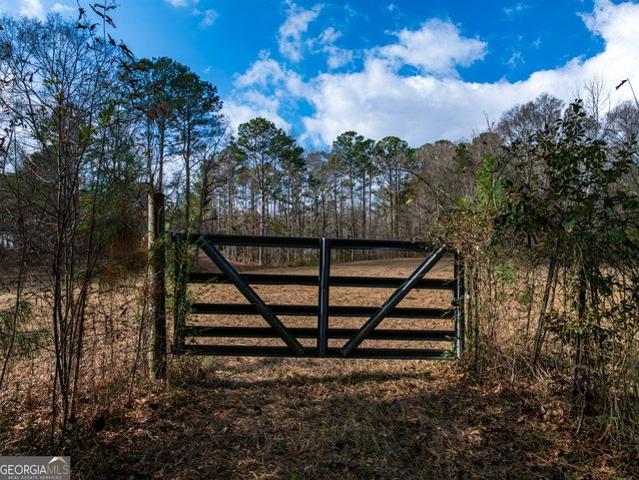 2.83 Acres Williams Rd, Shiloh, GA 31826