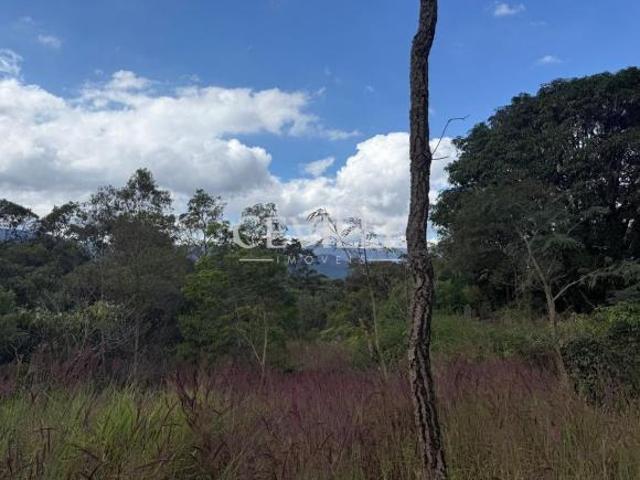 2,9 Hectares com Riacho e Vista Deslumbrante