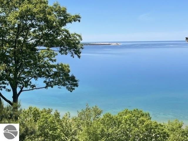 2C Pinnacle Homestead Pl Unit The, Glen Arbor, MI 49636