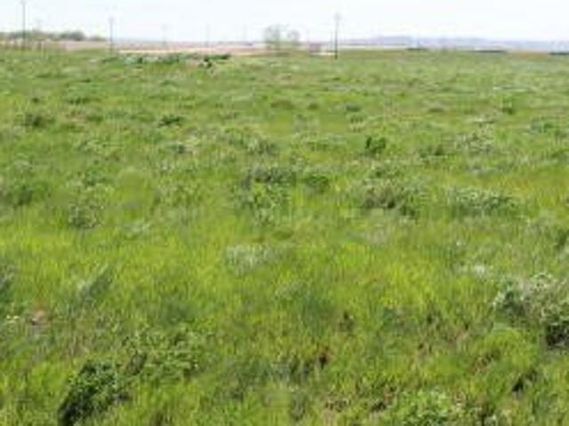 2B3 Keys Cove Loop, Ray, ND 58849