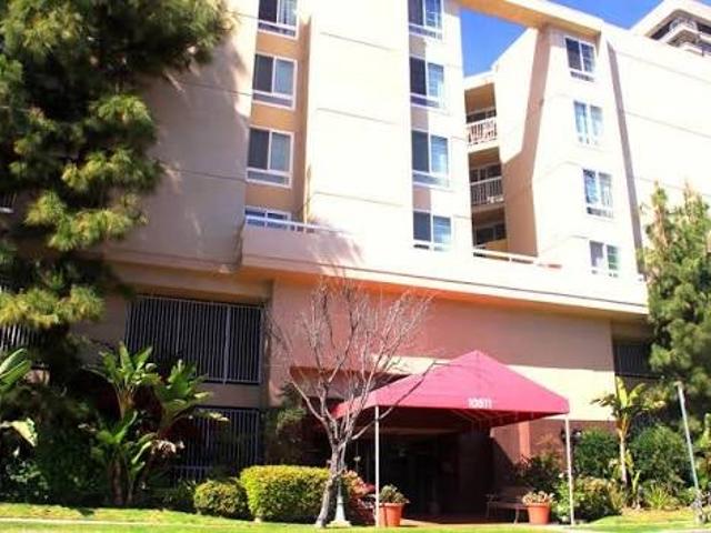 2bed2bath Apt Opening in Westwood